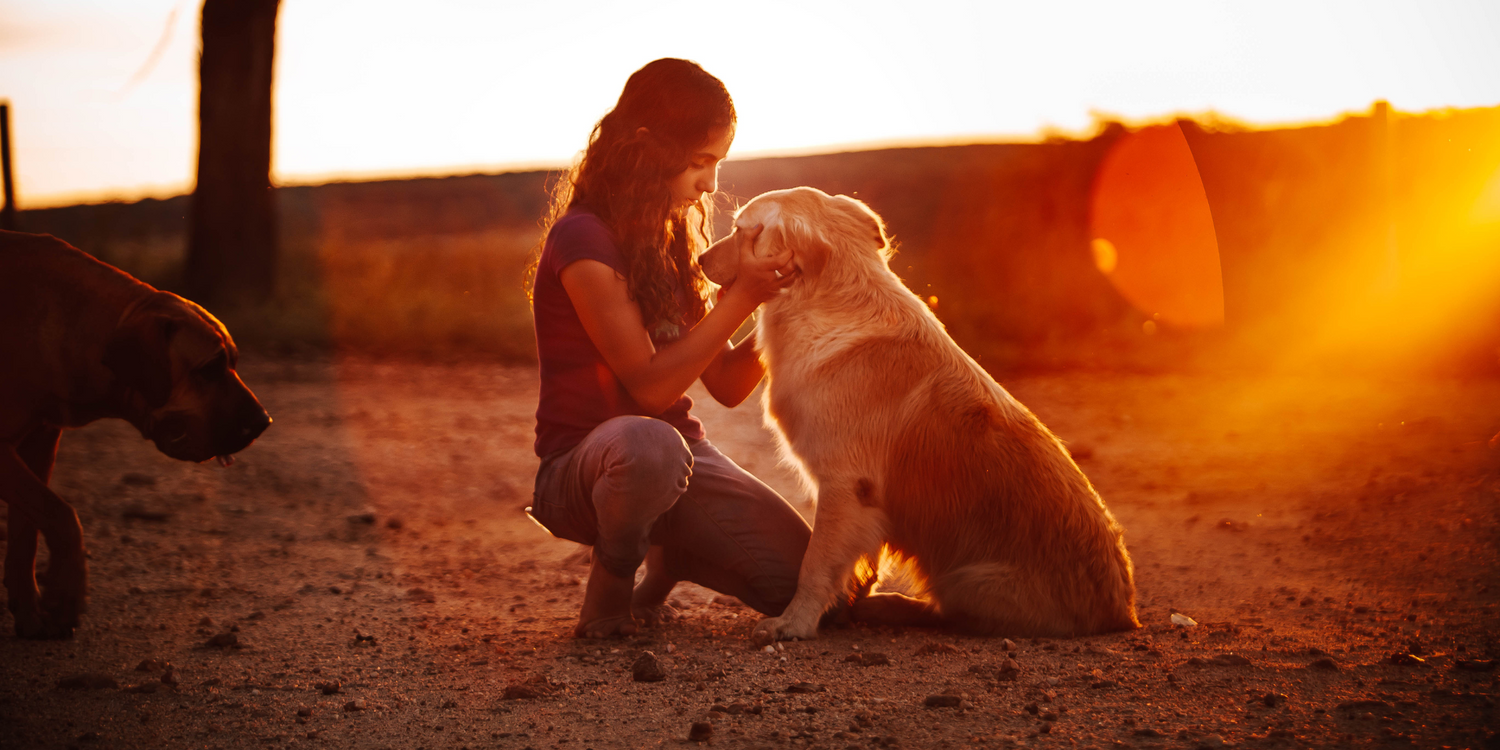 Woof Hub – The Woof Hub